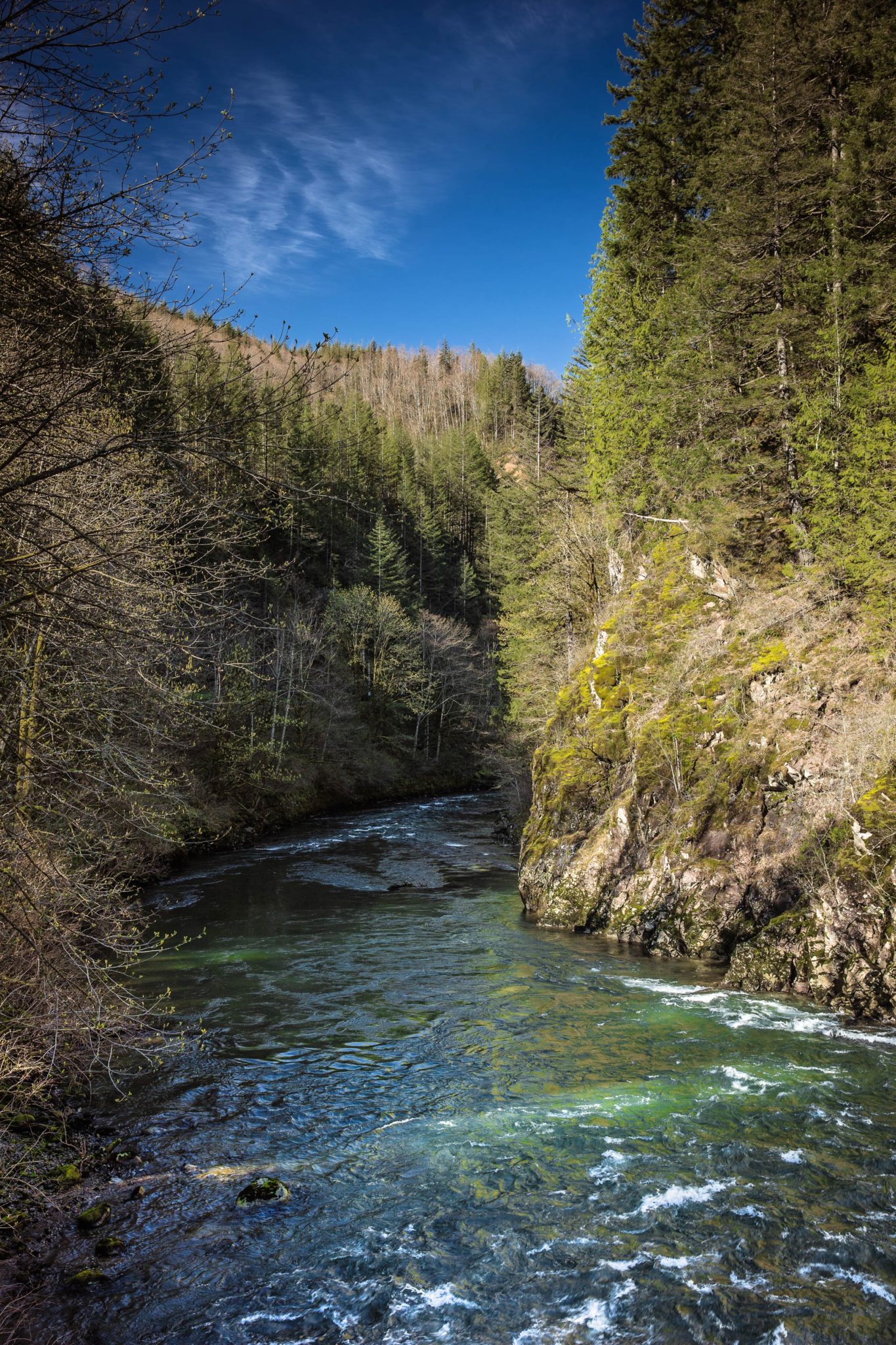 Tacoma Power offers Water Access Grant opportunity for Cowlitz River ...